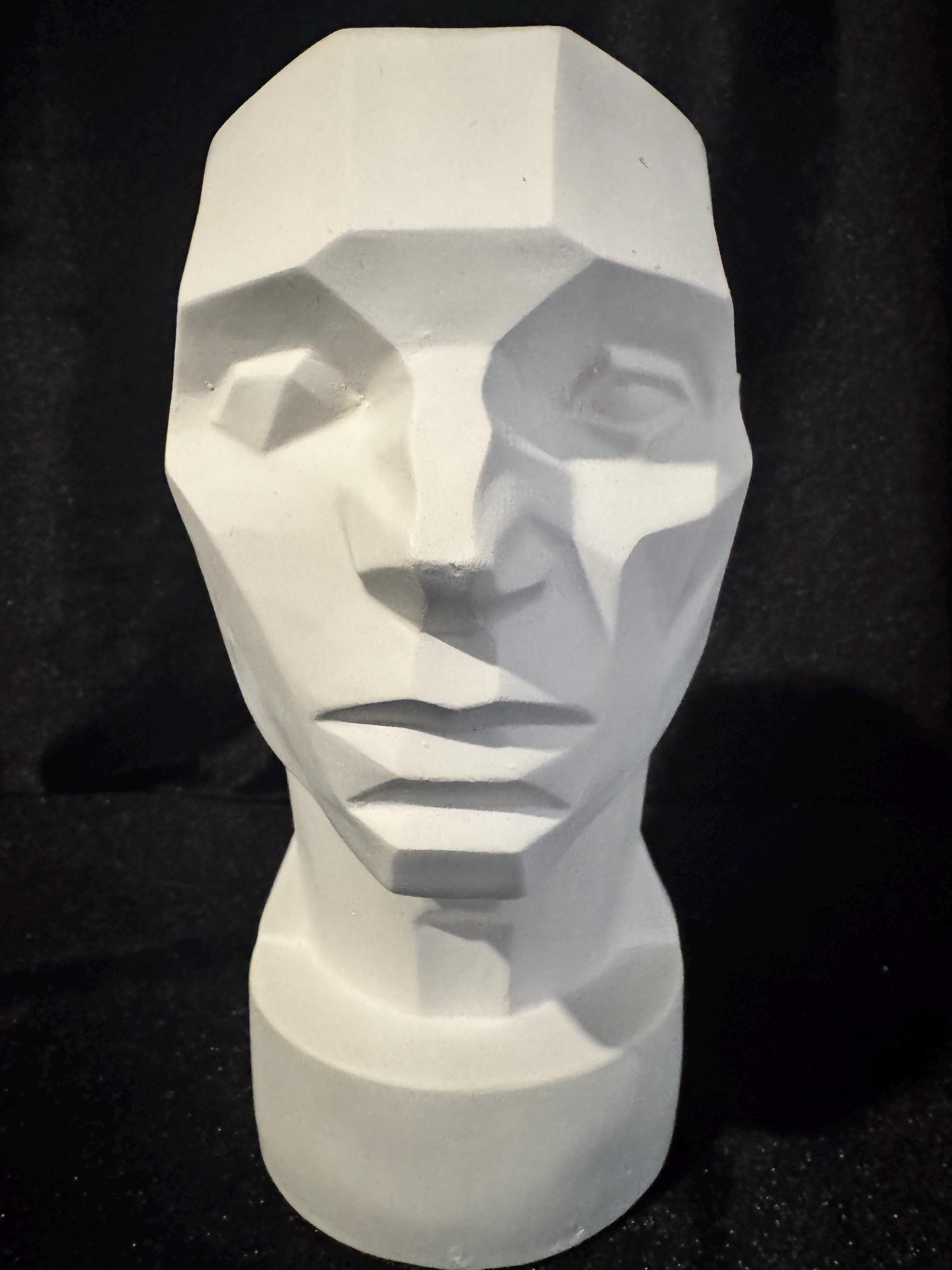 Planes of the Face, Plaster Cast Art Reference, Handmade Sculpture for ...