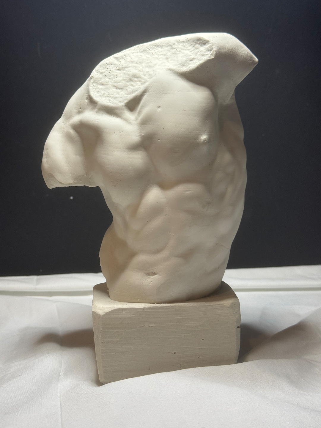 Gaddi Torso Plaster Cast Art Reference, Handmade Sculpture for Artists - Etsy