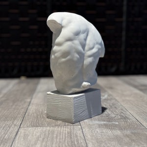 Gaddi Torso Plaster Cast Art Reference, Handmade Sculpture for Artists - Etsy