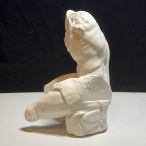 Belvedere Torso Plaster Cast Art Reference, Handmade Sculpture for Artists - Etsy