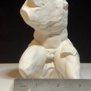 Belvedere Torso Plaster Cast Art Reference, Handmade Sculpture for ...