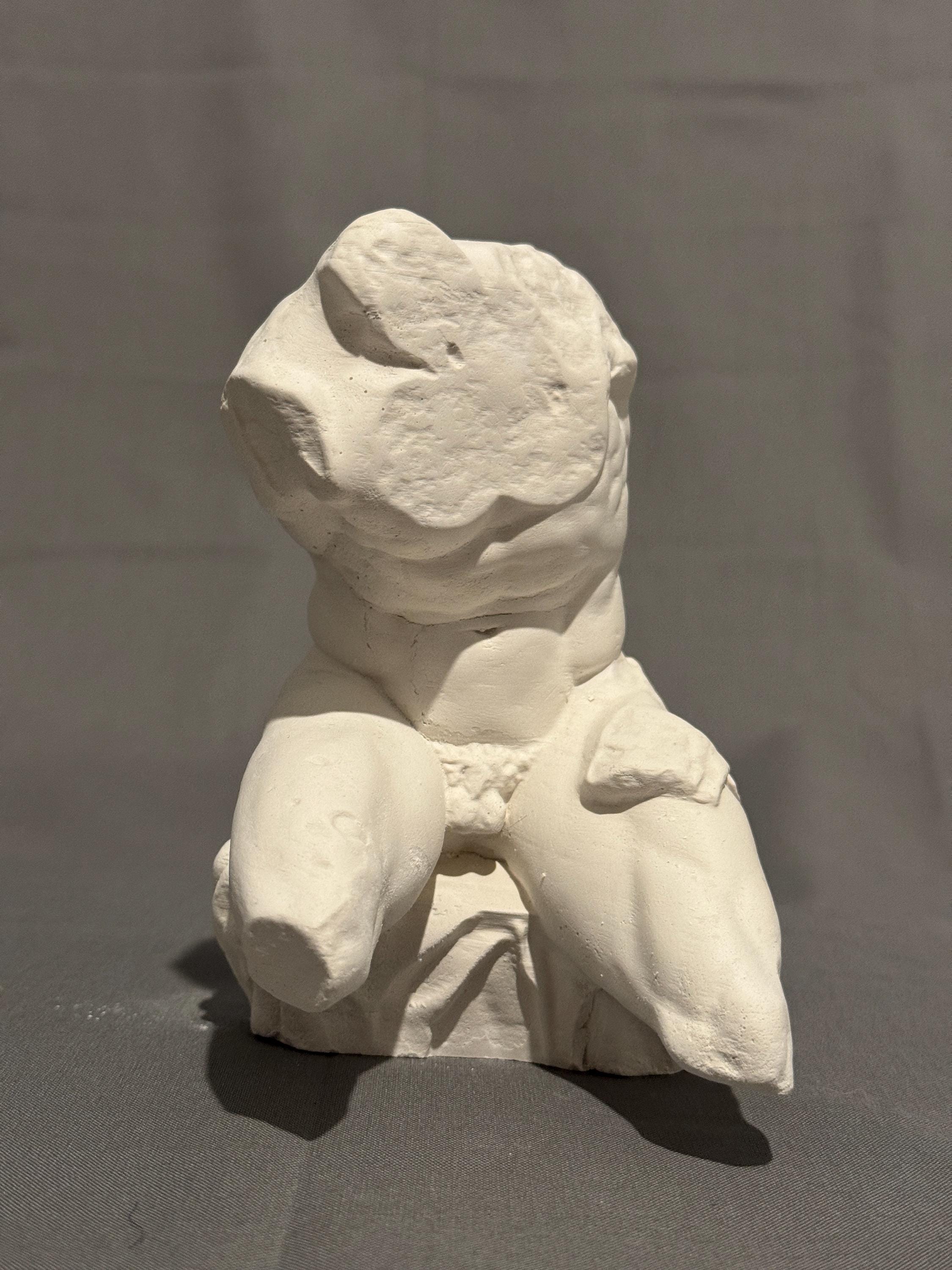 Belvedere Torso Plaster Cast Art Reference, Handmade Sculpture for ...