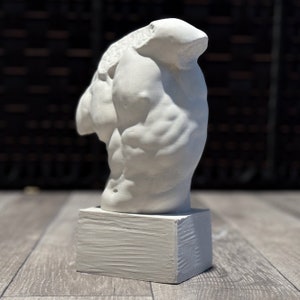 Gaddi Torso Plaster Cast Art Reference, Handmade Sculpture for Artists - Etsy