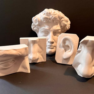 Unique Artist Gift: Royal Academy Plaster Hand Cast for Drawing ...