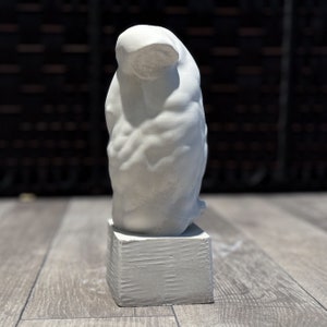 Gaddi Torso Plaster Cast Art Reference, Handmade Sculpture for Artists - Etsy