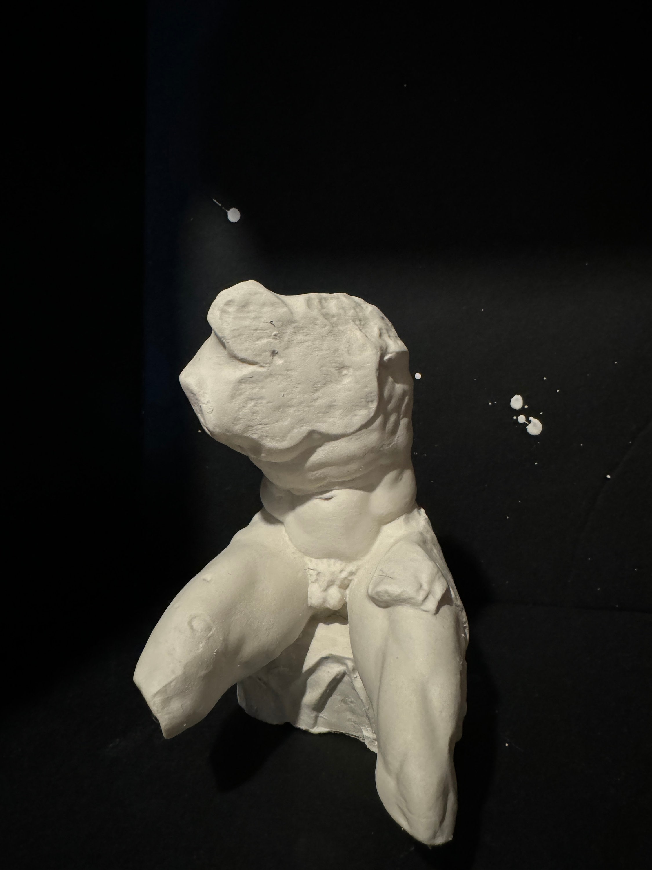 Belvedere Torso Plaster Cast Art Reference, Handmade Sculpture for ...