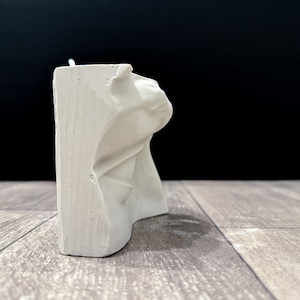 Eye of David Plaster Cast Art Reference, Handmade Sculpture for Artists ...