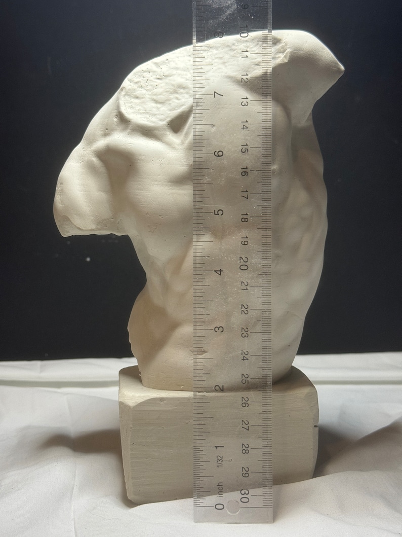 Gaddi Torso Plaster Cast Art Reference, Handmade Sculpture for Artists ...