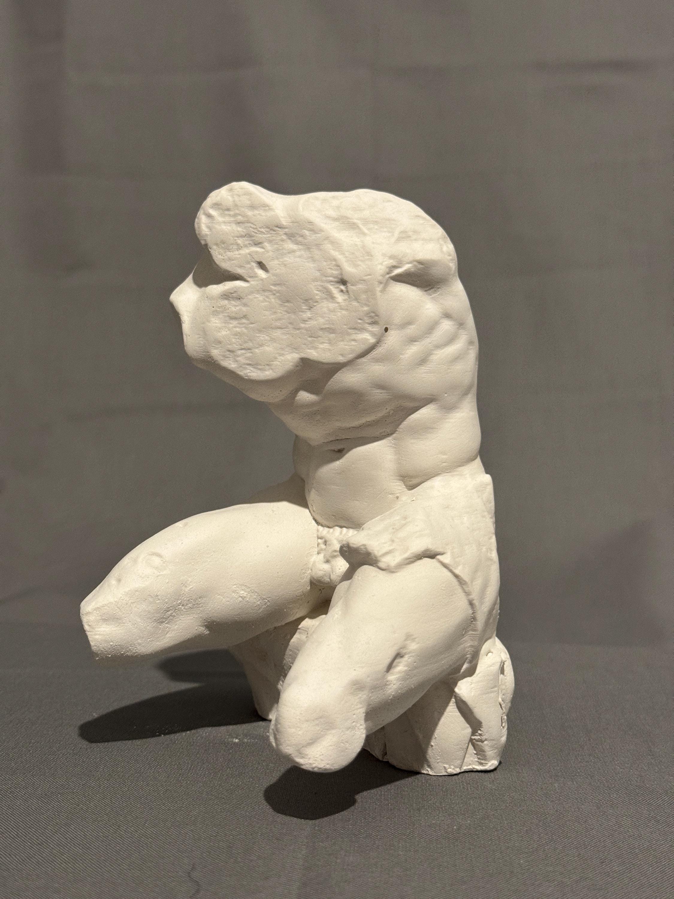 Belvedere Torso Plaster Cast Art Reference, Handmade Sculpture for ...