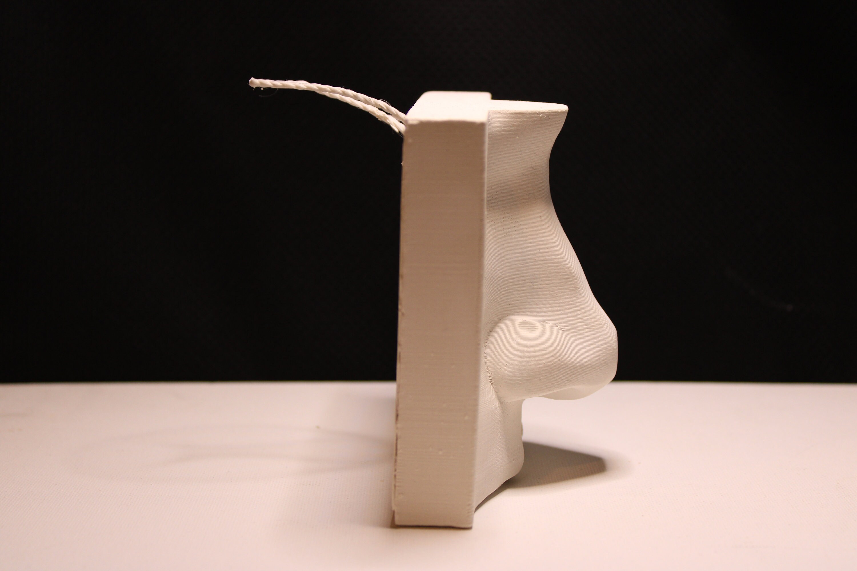 Handcrafted Plaster Cast of Nose, Art Practice, Cast Drawing, Sculpture ...