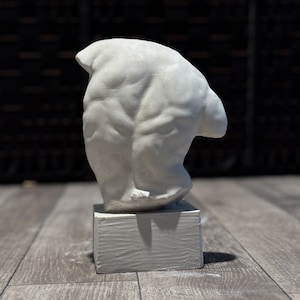 Gaddi Torso Plaster Cast Art Reference, Handmade Sculpture for Artists - Etsy