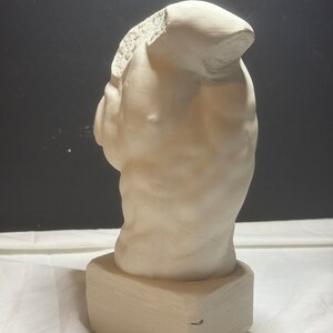 Gaddi Torso Plaster Cast Art Reference, Handmade Sculpture for Artists ...