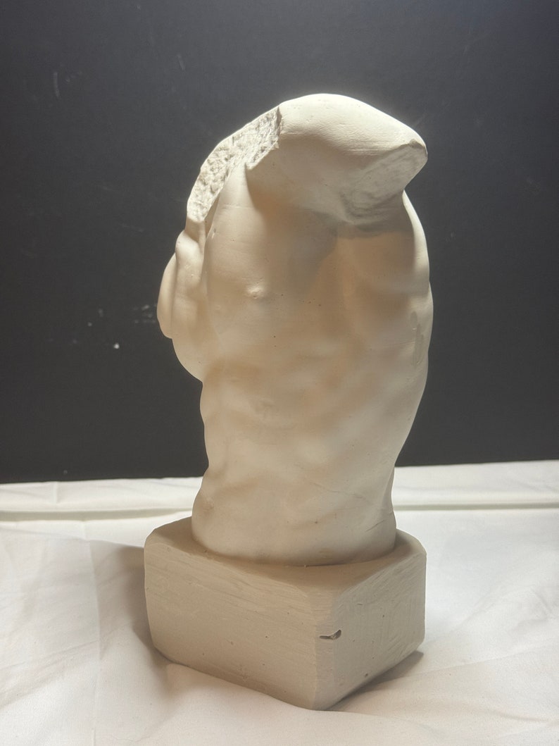Gaddi Torso Plaster Cast Art Reference, Handmade Sculpture for Artists - Etsy