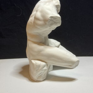 Belvedere Torso Plaster Cast Art Reference Sculpture for Artists Plaster - Etsy