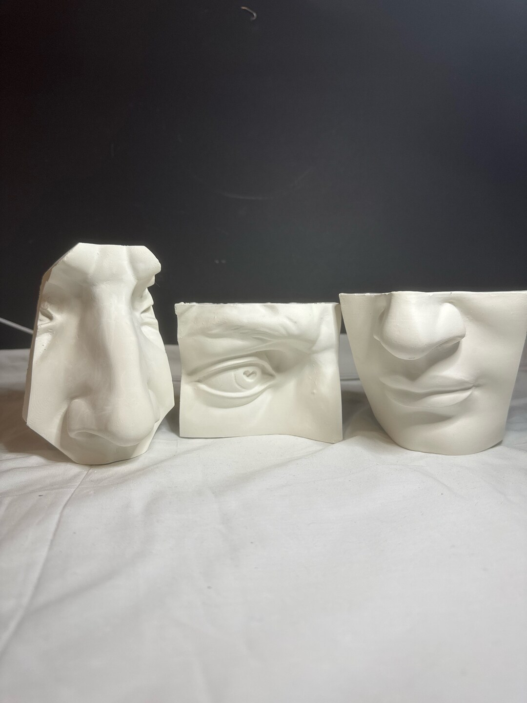 David Study Cast Plaster Set - Etsy