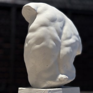 Gaddi Torso Plaster Cast Art Reference, Handmade Sculpture for Artists - Etsy