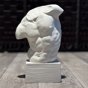 Gaddi Torso Plaster Cast Art Reference, Handmade Sculpture for Artists - Etsy