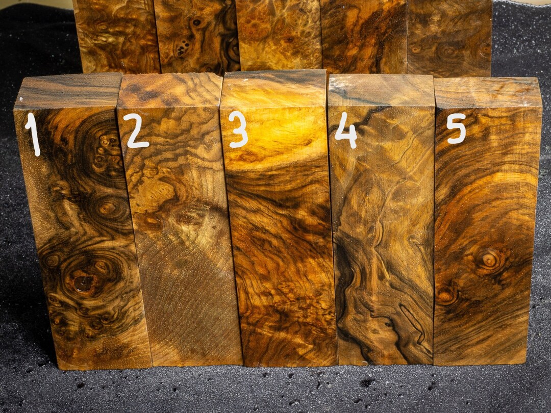 Raw Unstabilized Turkish Walnut Root Wood: Perfect for Exotic Wood ...