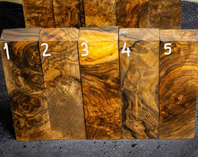 Raw Unstabilized Turkish Walnut Root Wood: Perfect for Exotic Wood ...