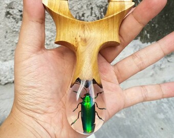 Jacht katapult - Etsy Nederland