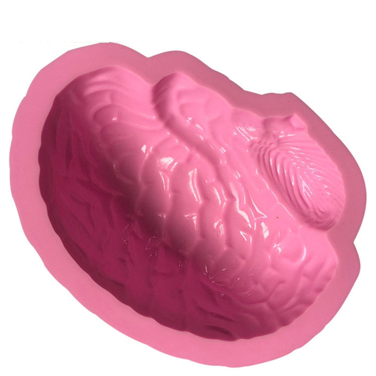 Brain Mold Fondant Clay Resin Mould Candy Chocolate Gumpaste - Etsy