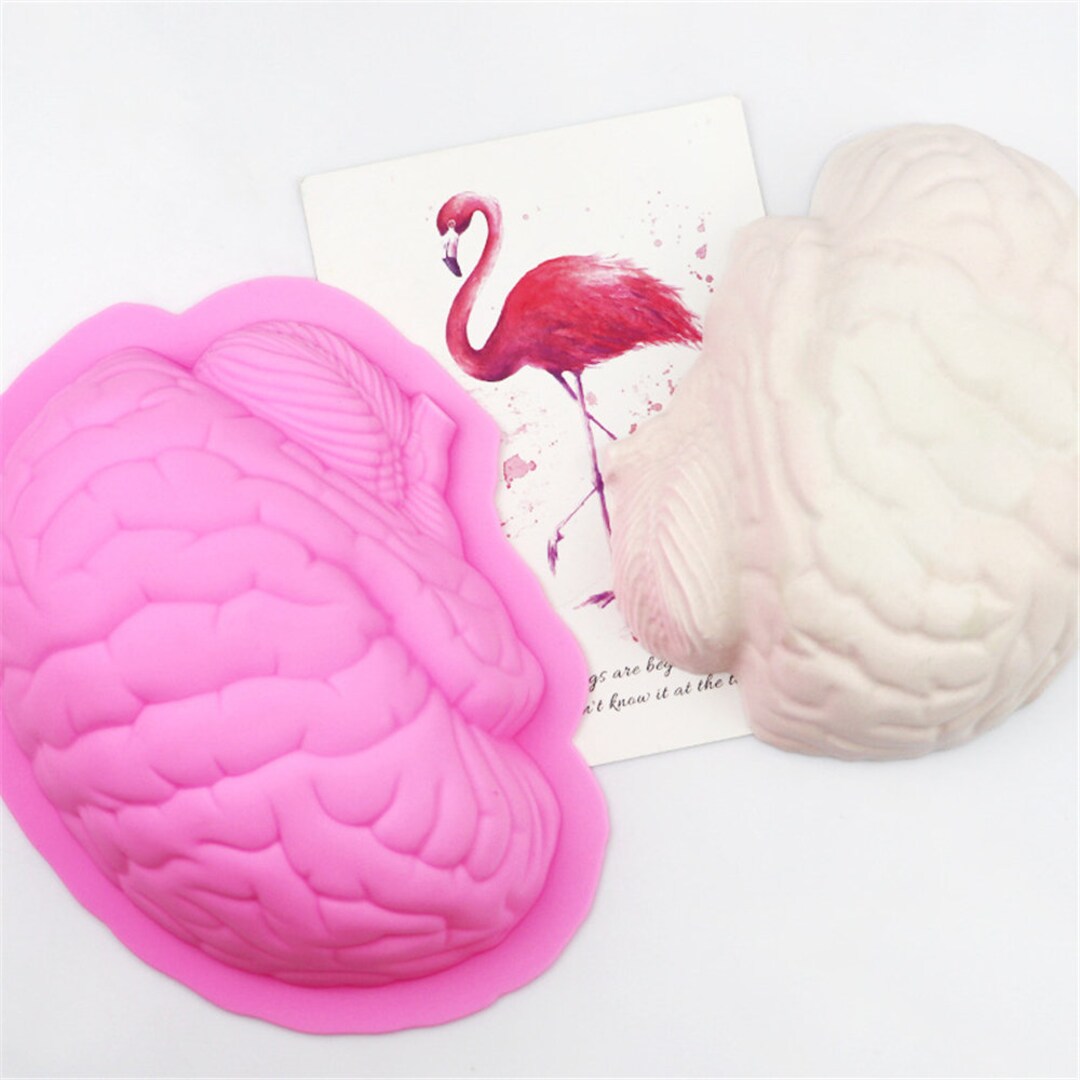 Brain Mold Fondant Clay Resin Mould Candy Chocolate Gumpaste - Etsy