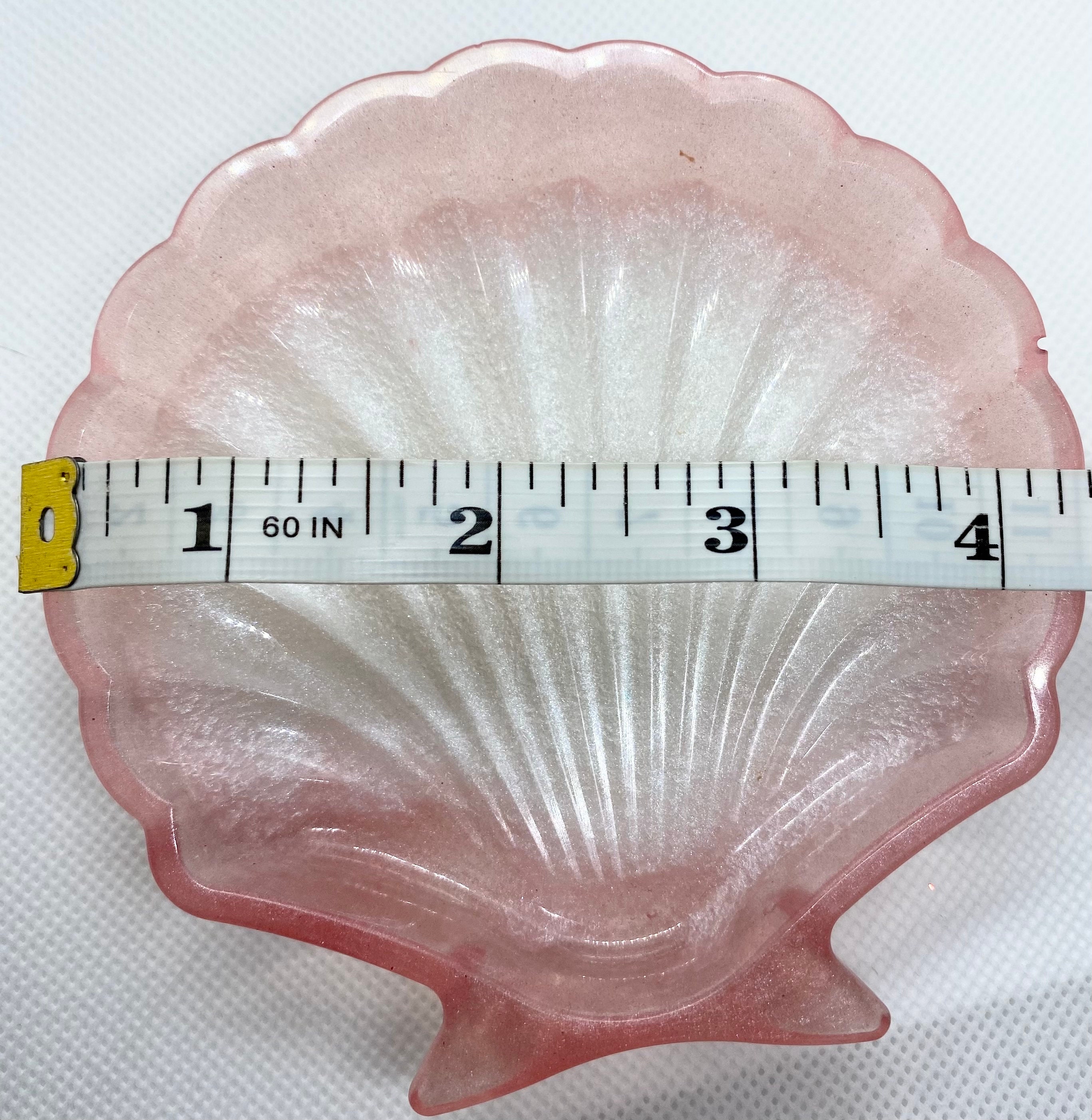 Calico Scallop Shell Holder - Etsy