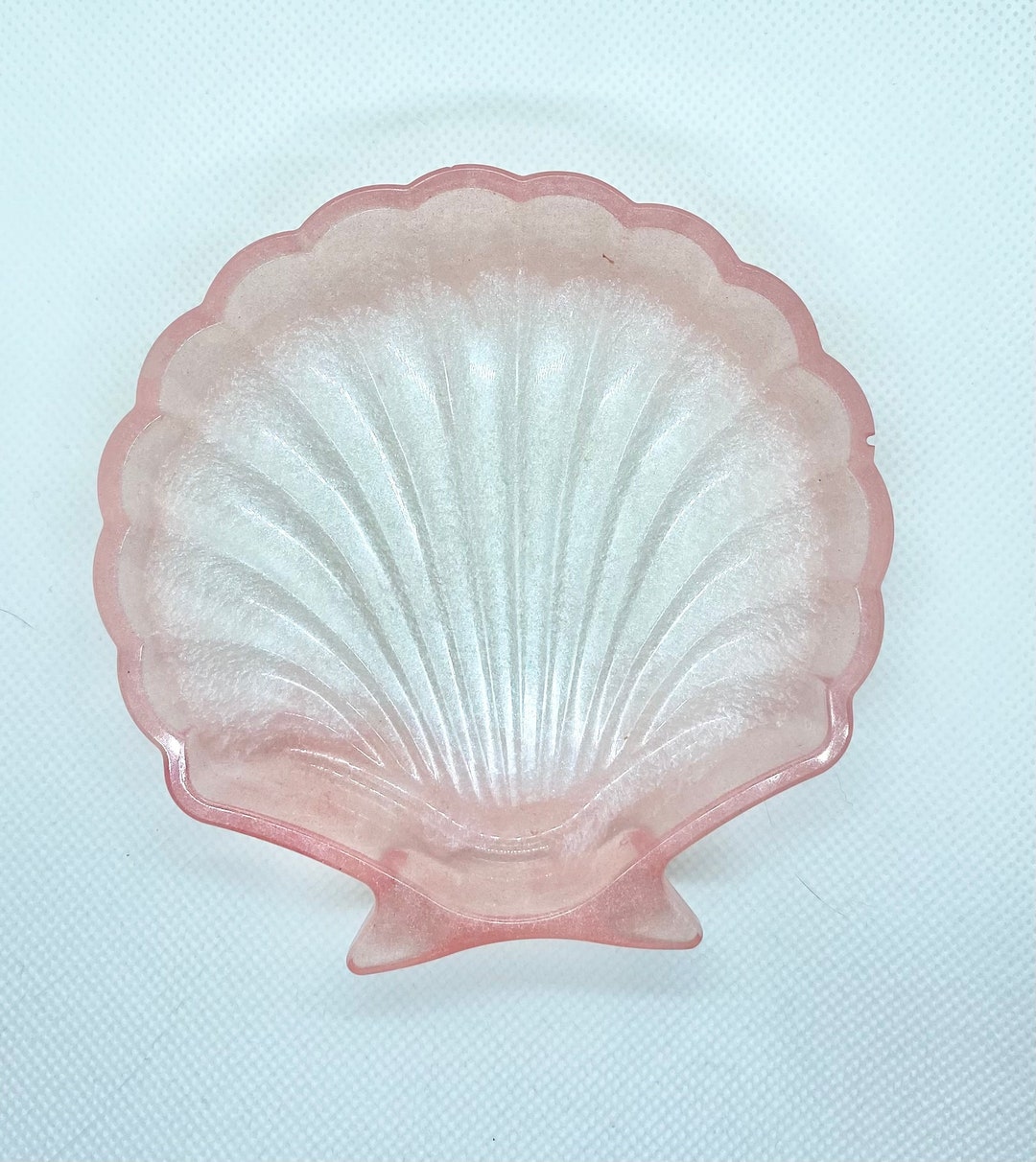 Calico Scallop Shell Holder - Etsy