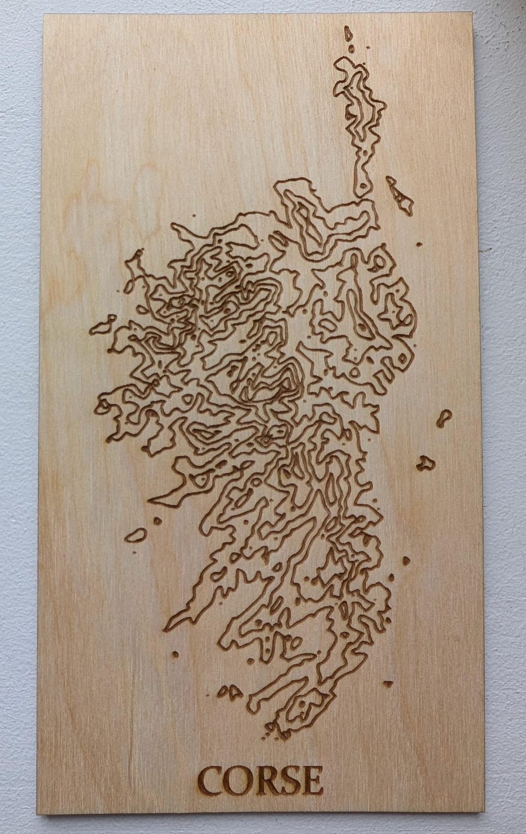 Topographical Map of Corsica - Etsy