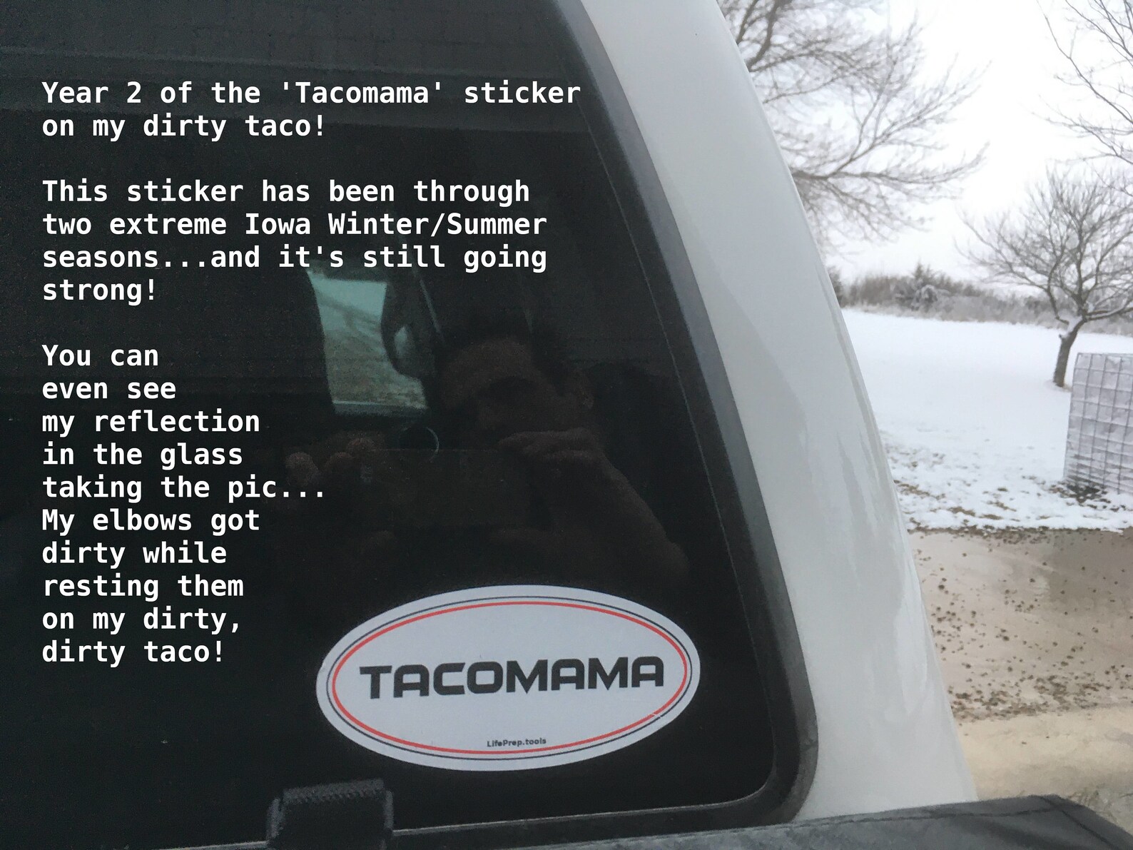 Tacoma Decal, Tacoma Sticker, Tacoma Vinyl Decal, Funny Taco, Funny ...