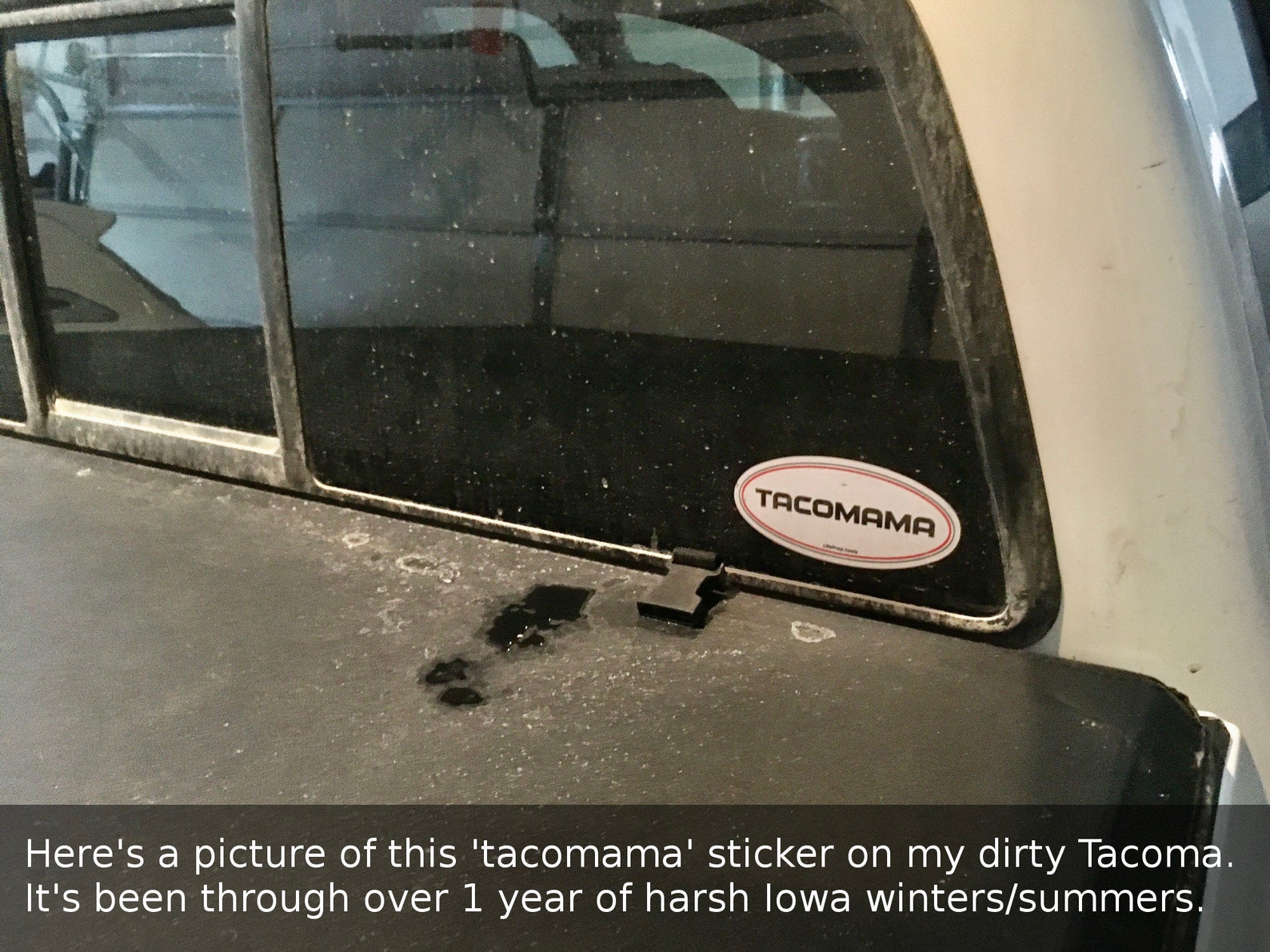 Tacoma Decal, Tacoma Sticker, Tacoma Vinyl Decal, Funny Taco, Funny ...