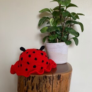 Ladybug Crochet Hat - PATTERN ONLY - Etsy