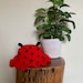 Ladybug Crochet Hat PATTERN ONLY - Etsy