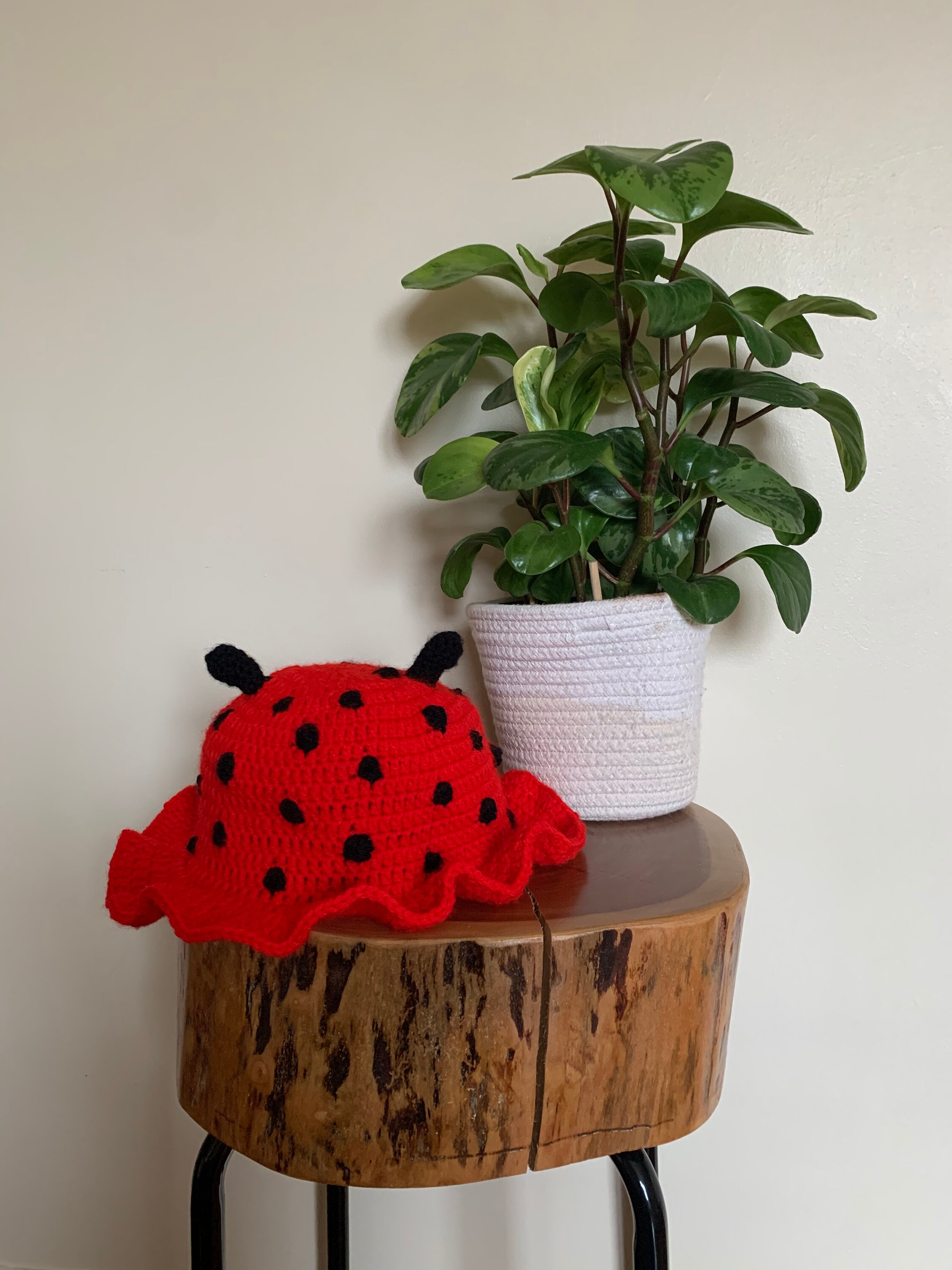 Ladybug Crochet Hat PATTERN ONLY | Etsy
