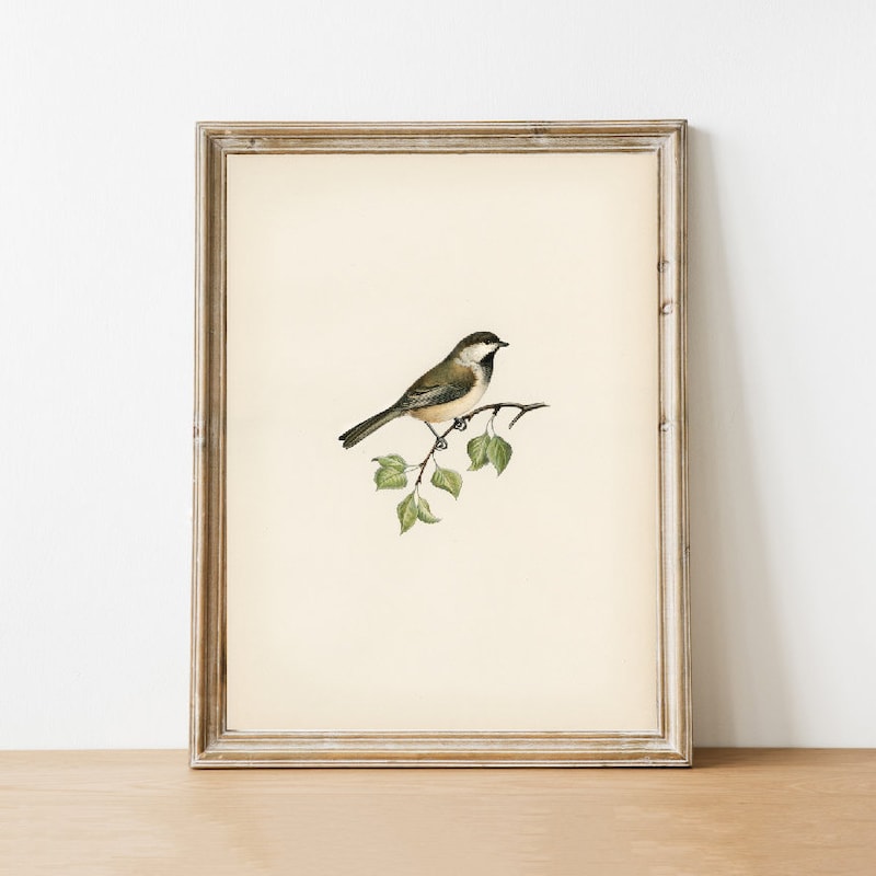 Printable Bird Art - Etsy