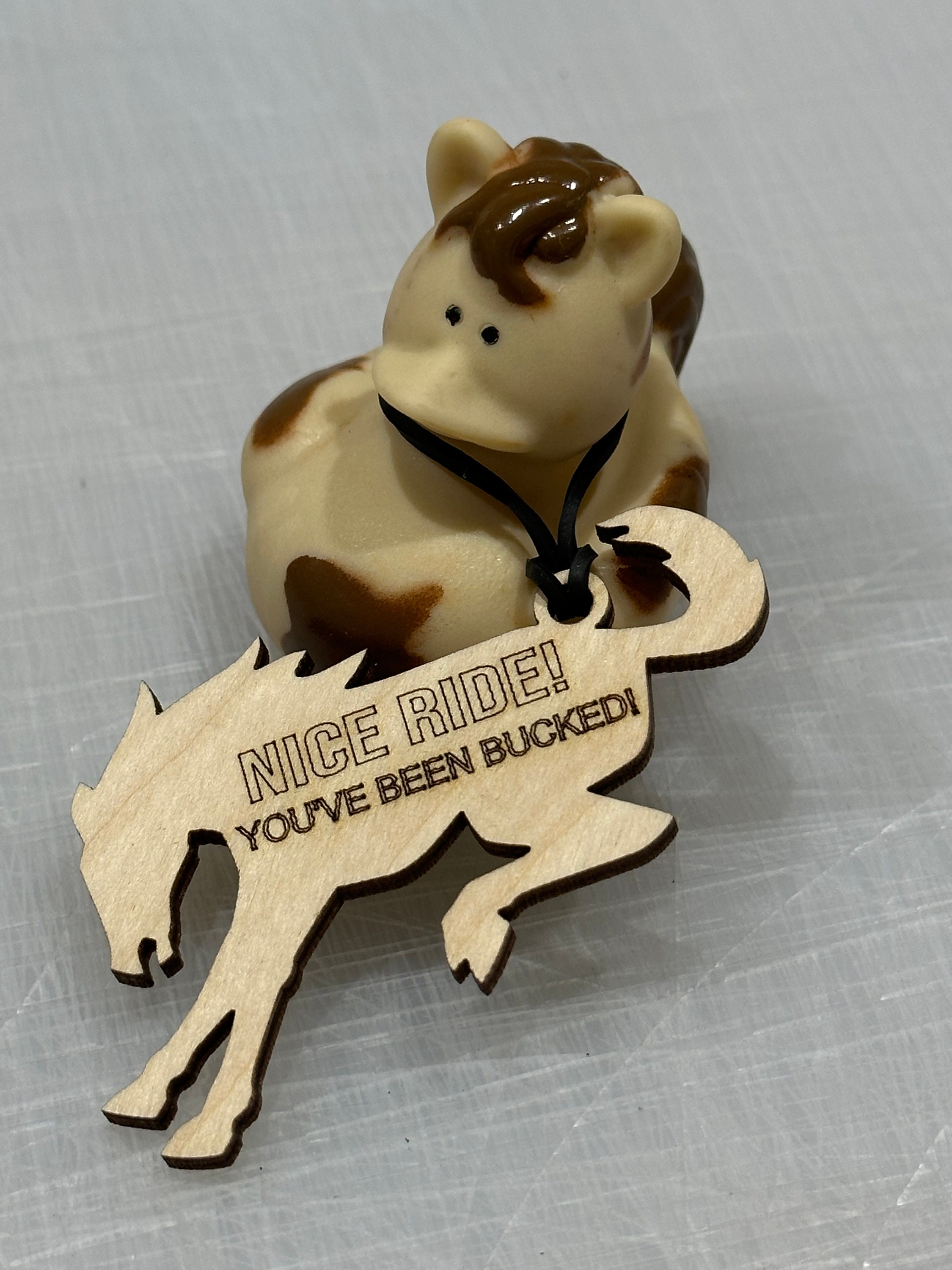 Bucked Bronco Duck Tags. 25 Pack. Perfect for Buckin Bronco Owners Buck ...
