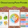 Colors Chinese Learning Flashcards for Kids • Chinese Learning Print ...