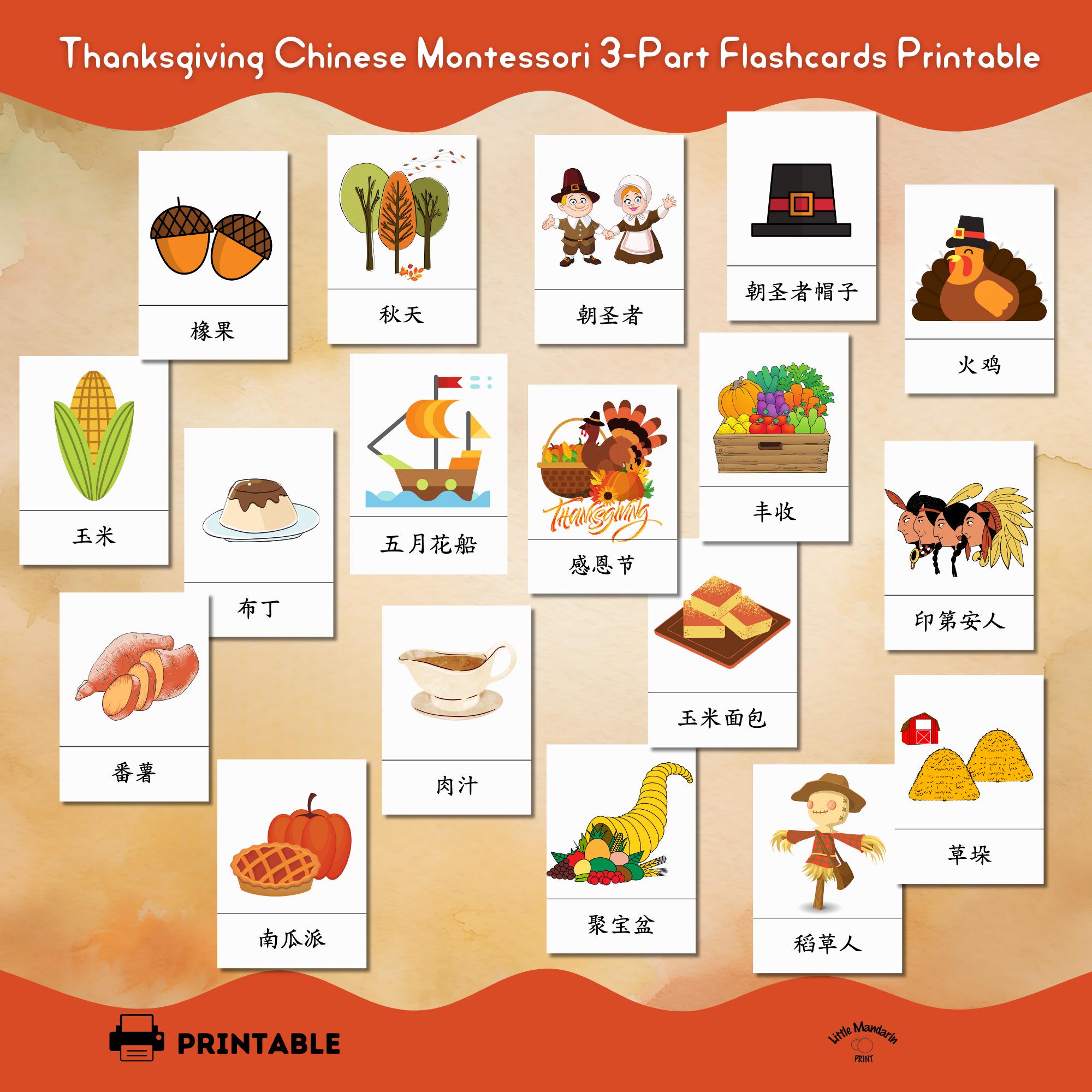 Thanksgiving Chinese Vocabulary Montessori 3-part Flashcards for Kids ...