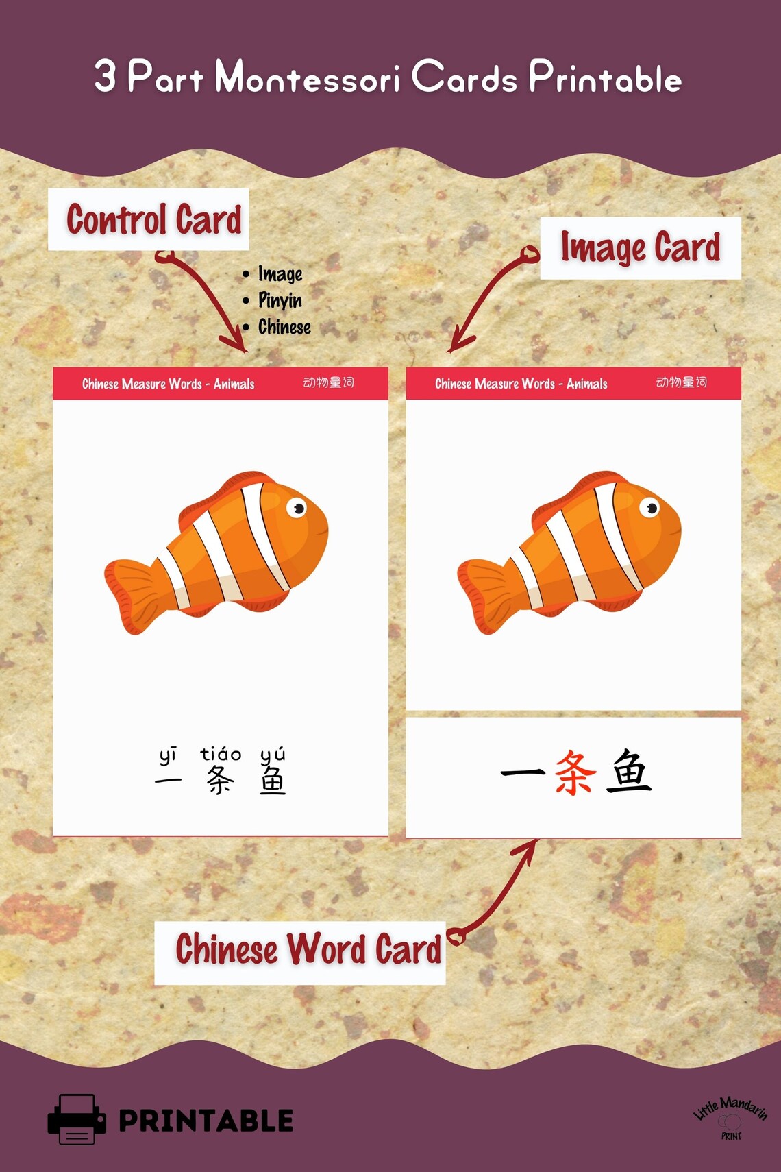 Measure Words for Animals Chinese Learning Flashcards for Kids Print ...
