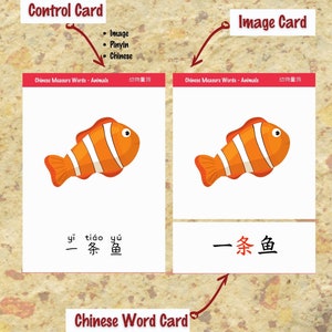 Measure Words for Animals Chinese Learning Flashcards for Kids • Print ...