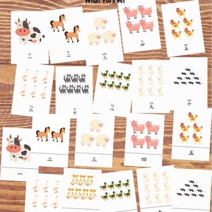 Numbers 1-10 Chinese Learning Flashcards for Kids Chinese Learning ...