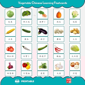 Vegetable Chinese Learning Flashcards for Kids • Chinese Learning Print ...