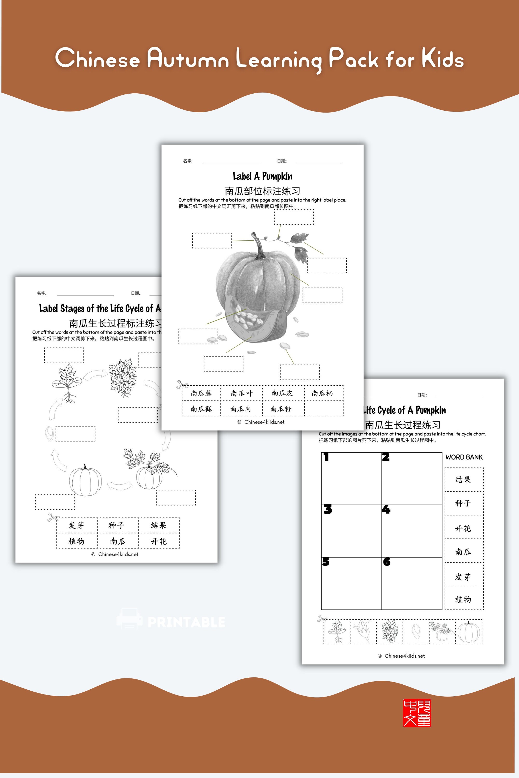 Pumpkin Chinese Learning Pack for Kids - Etsy
