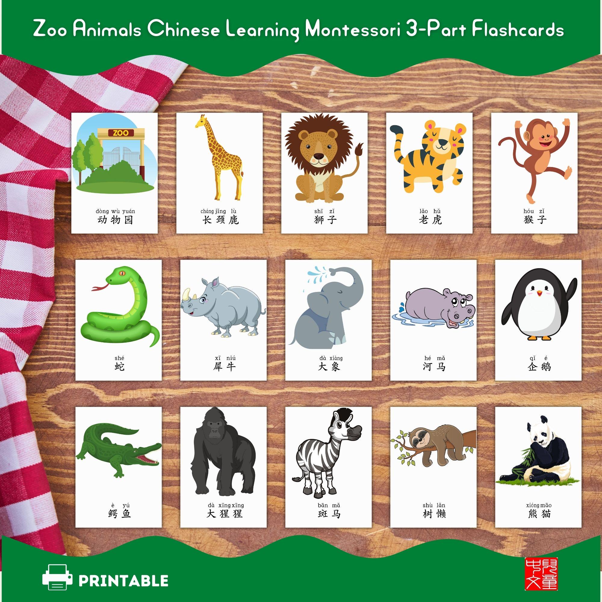 Zoo Animals Chinese Vocabulary Montessori 3-part Flashcards for Kids ...