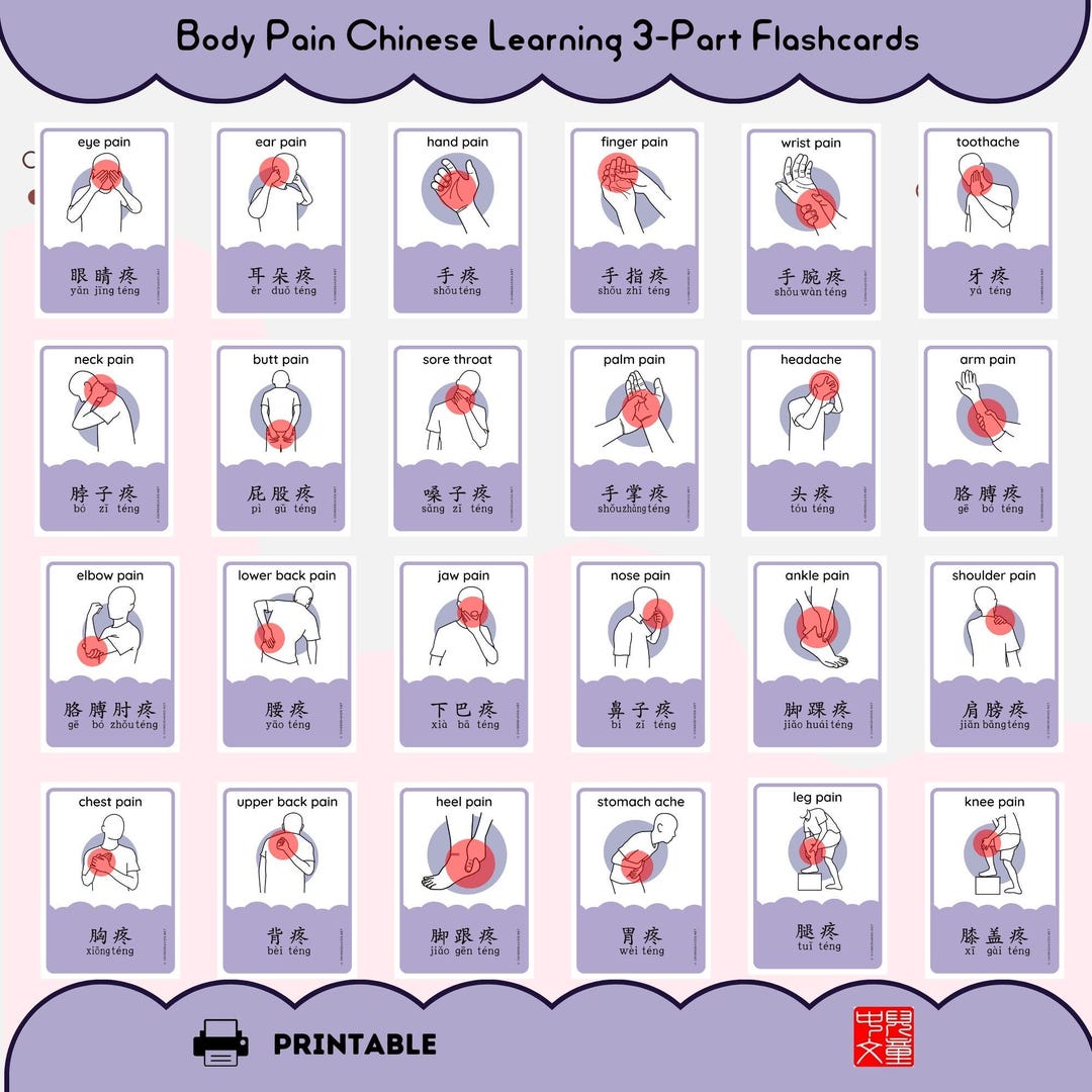 Body Pain Chinese Vocabulary Learning Montessori 3-part Flashcards for ...