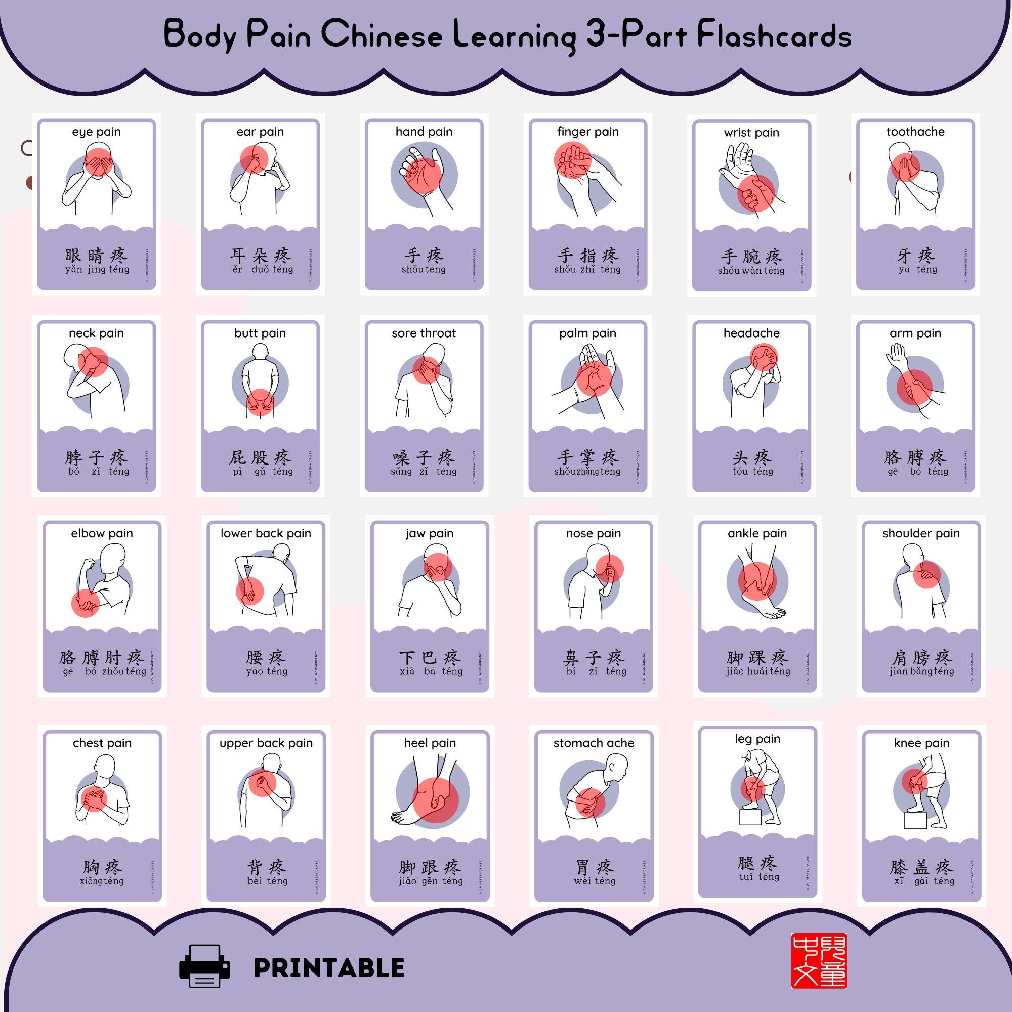 Body Pain Chinese Vocabulary Learning Montessori 3-part Flashcards for ...