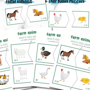 Farm Animal Chinese Learning Busy Book for Preschool, Pre-k, K, Home ...
