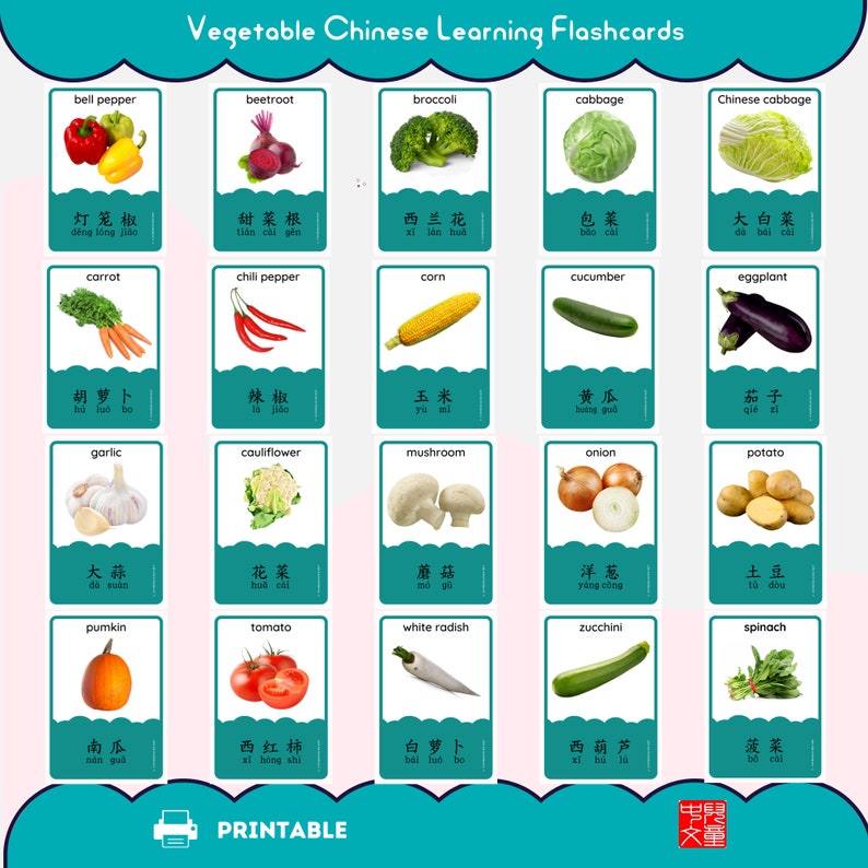Vegetable Chinese Learning Flashcards for Kids • Chinese Learning Print ...