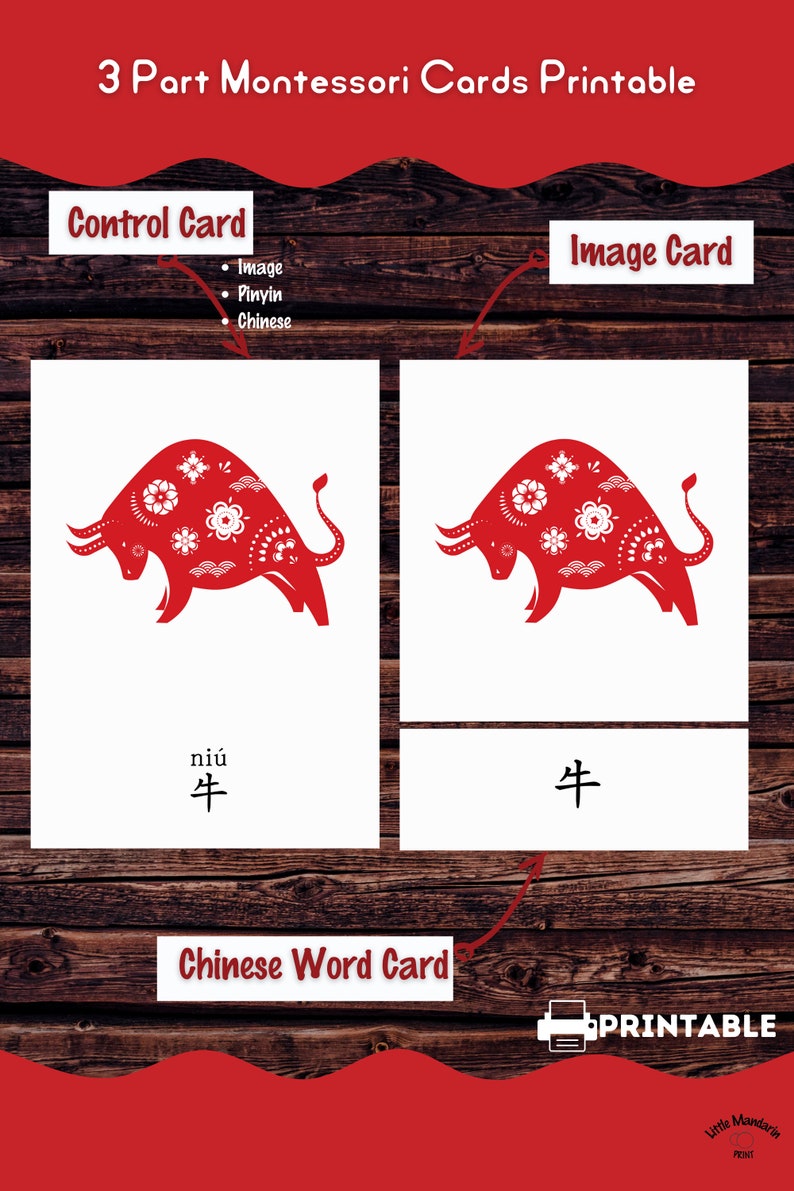 Chinese Zodiac Animal Chinese Learning Flashcards for Kids • Chinese ...