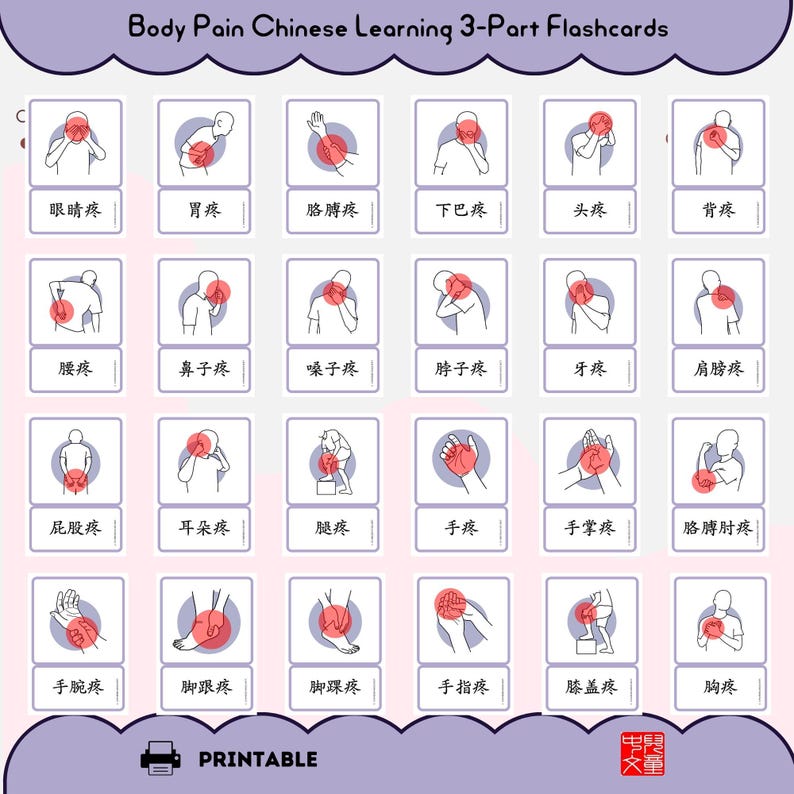Body Pain Chinese Vocabulary Learning Montessori 3-part Flashcards for ...